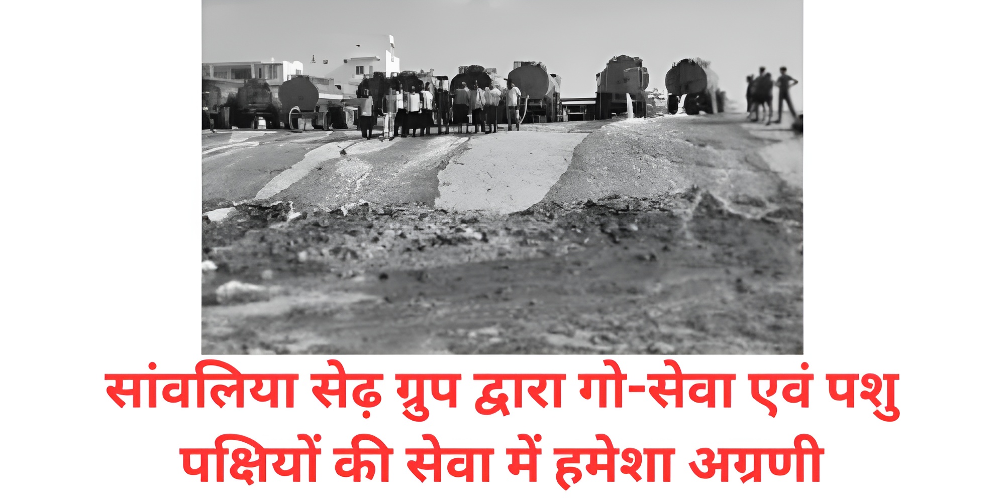 सांवलिया सेढ़ ग्रुप द्वारा गो-सेवा एवं पशु पक्षियों की सेवा में हमेशा ...